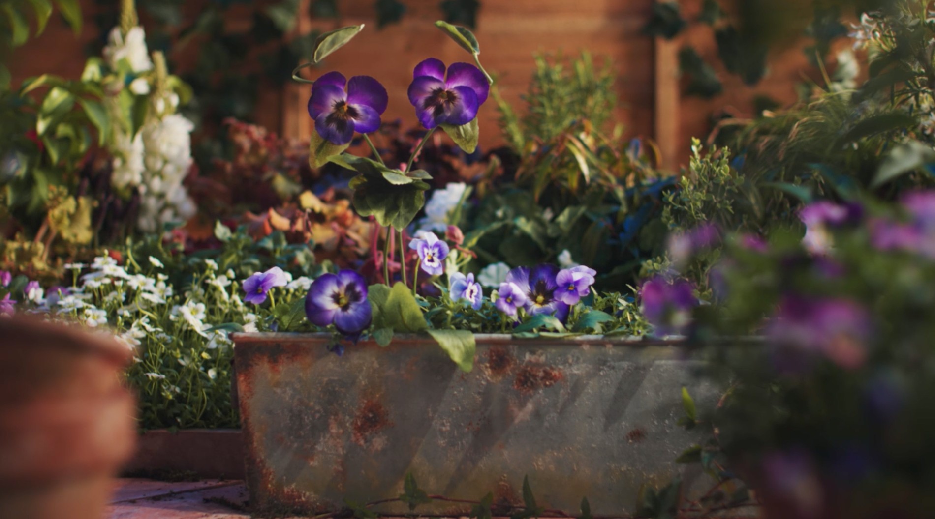 PASSION PICTURES – RHS 'We Speak Plant'